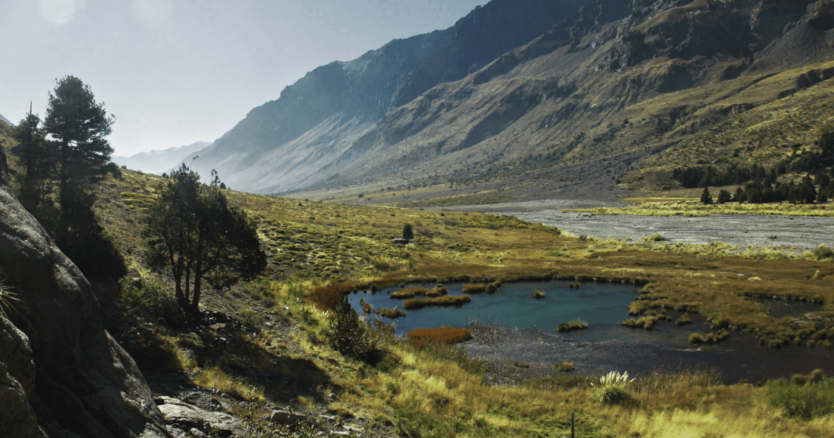 Wine Route by helicopter: discover the Colchagua Valley in Chile